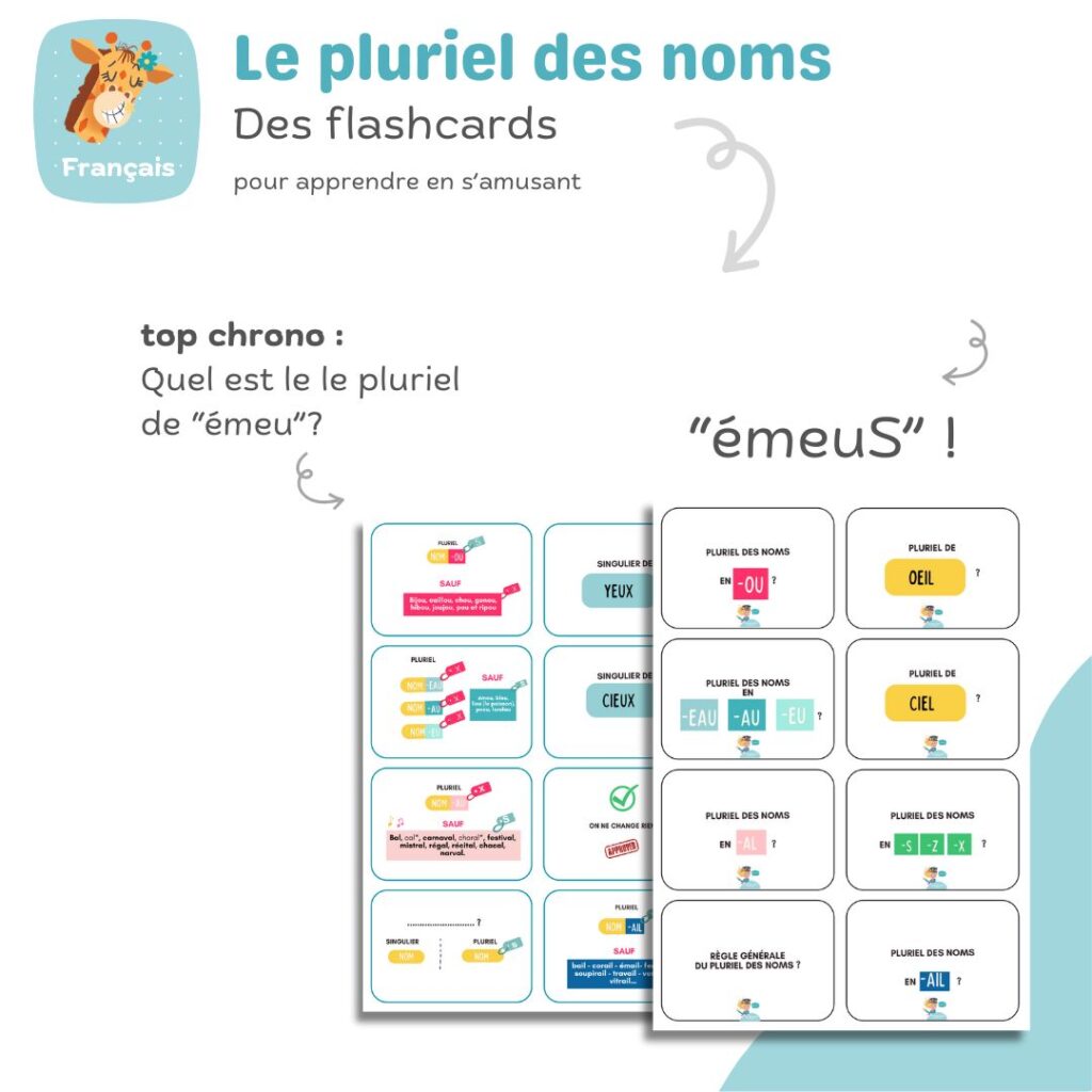 Le pluriel des noms : la leçon en BD + les fiches mentales - Alexandra ...