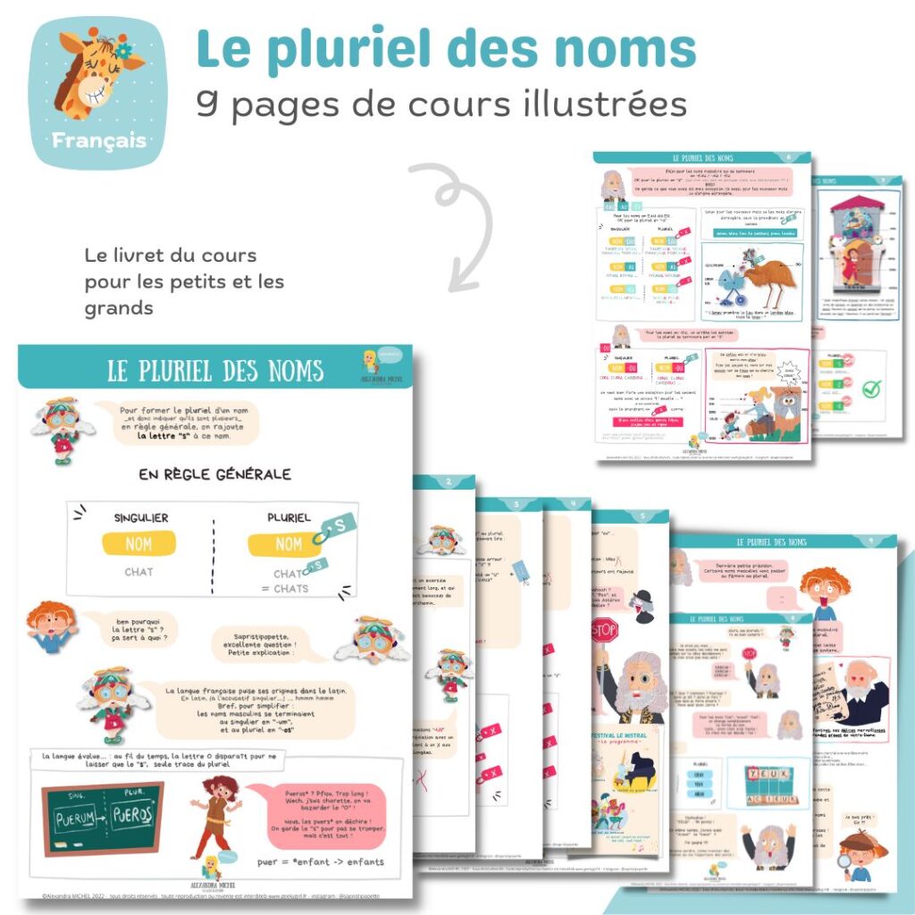 Le pluriel des noms : la leçon en BD + les fiches mentales - Alexandra ...