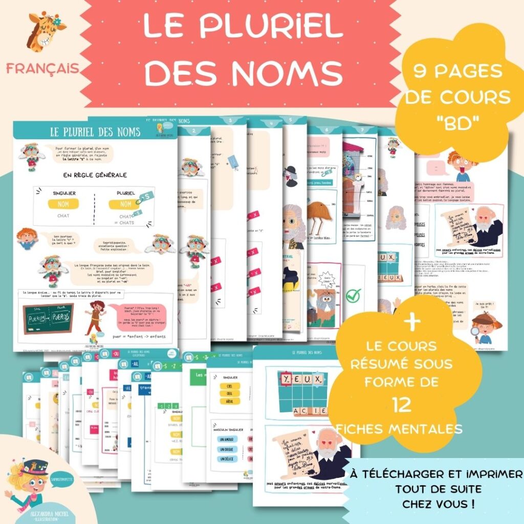 Le pluriel des noms : la leçon en BD + les fiches mentales - Alexandra ...